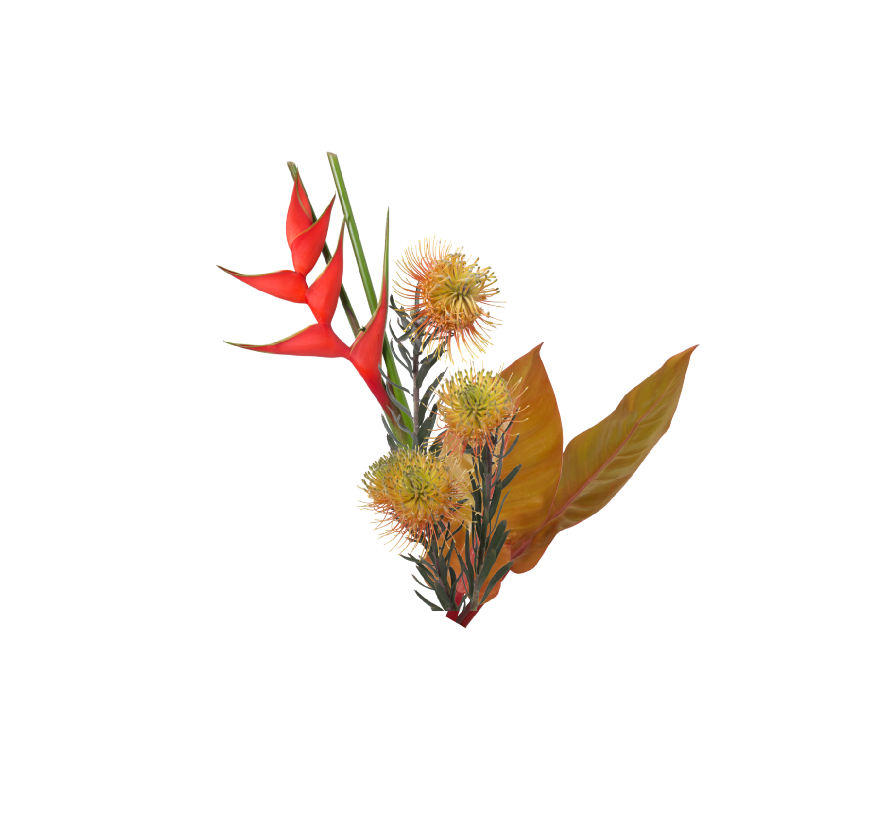 bbbbbbbbbbbbbbb | Putnam Flower Channel