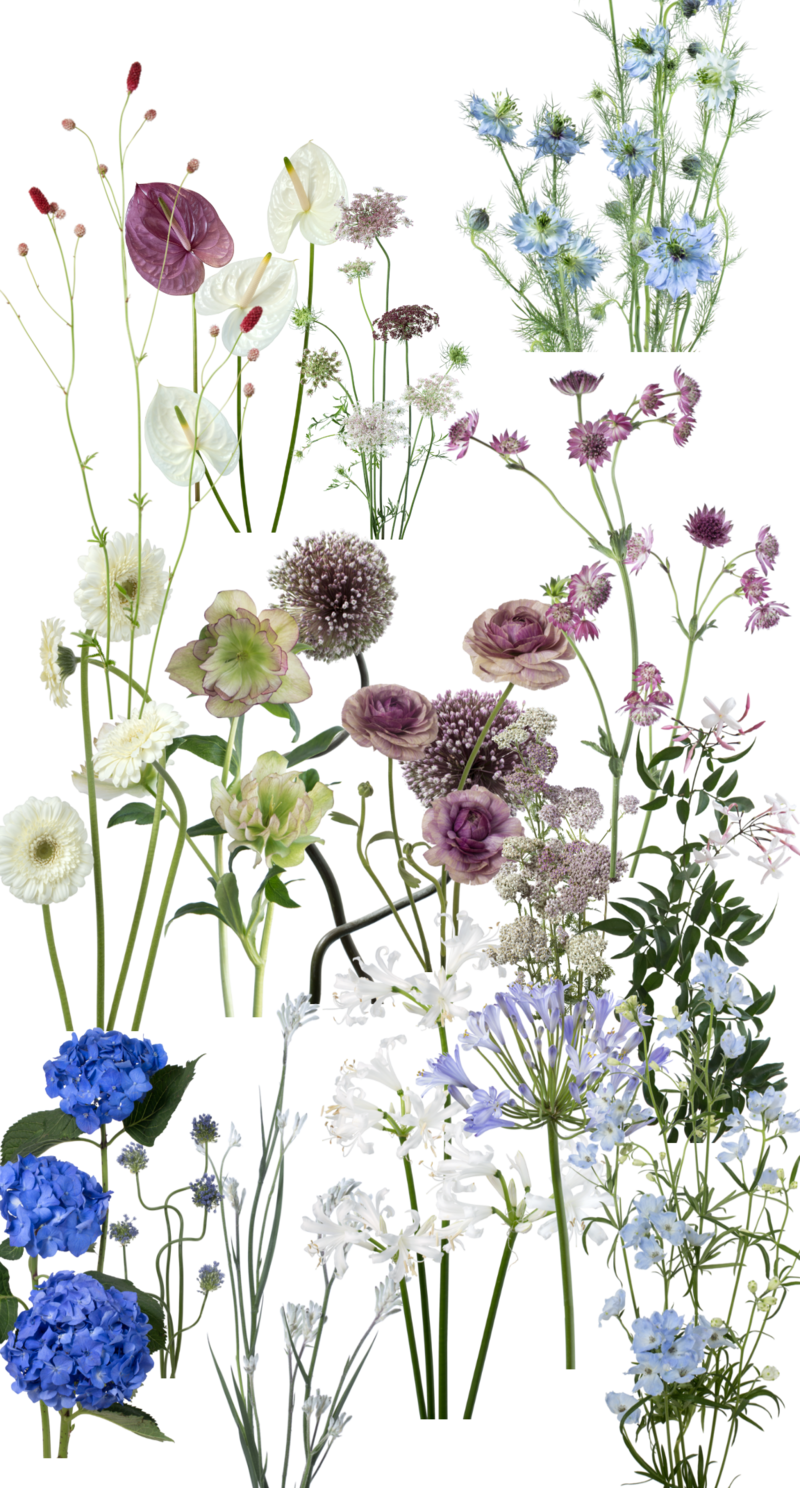 Four Seasons | Putnam Flower Channel