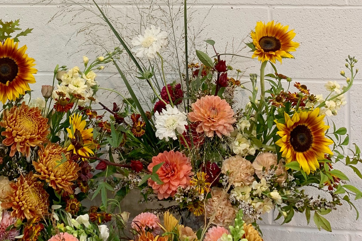 Mahonia Studio | Putnam Flower Channel