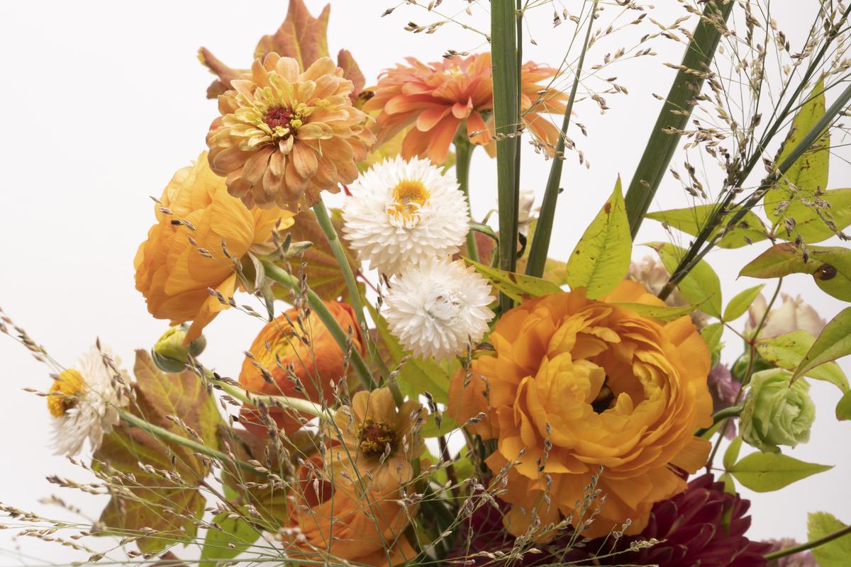 Mahonia Studio | Putnam Flower Channel